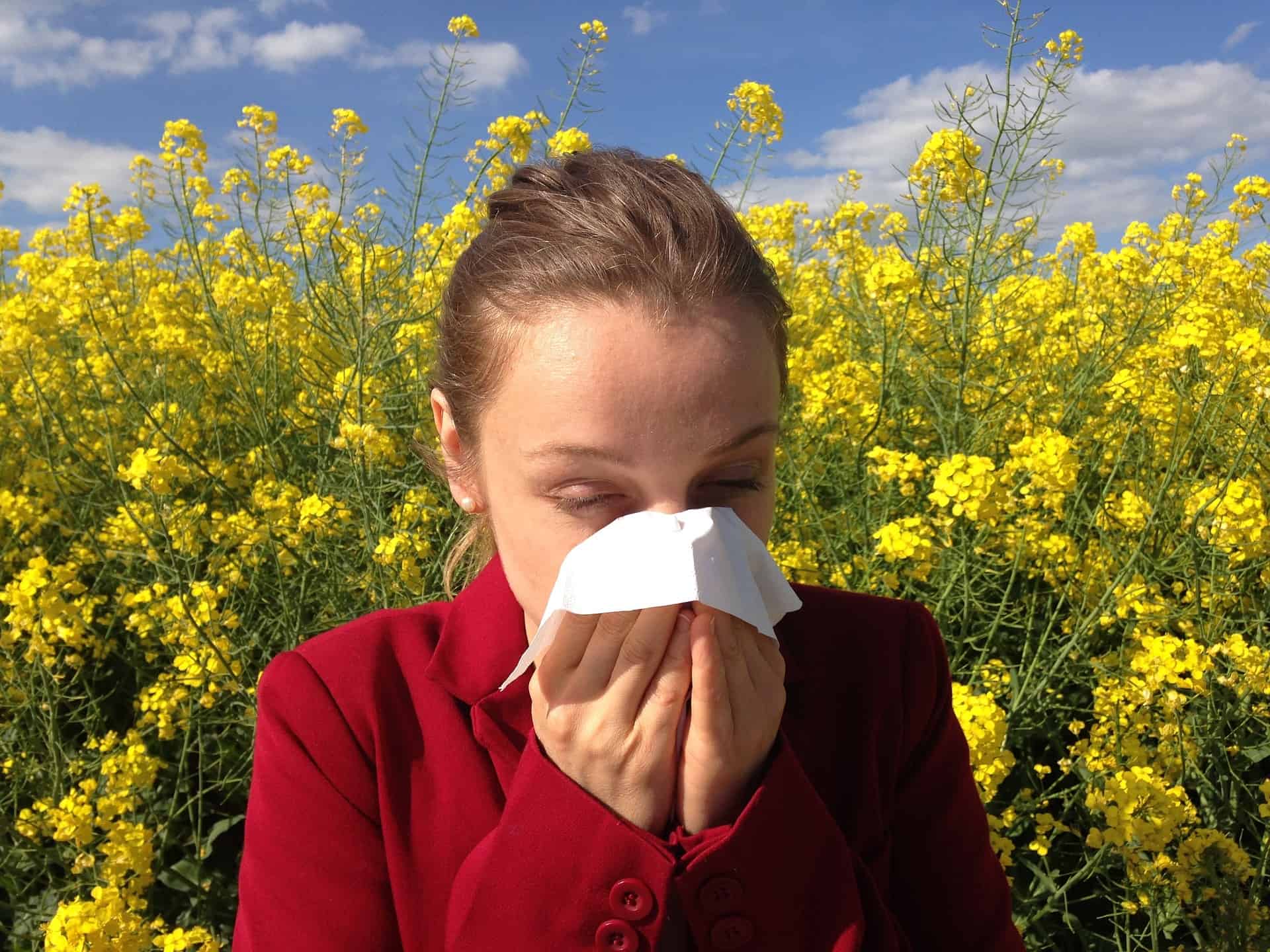 Seven practical tips for dealing with seasonal allergies